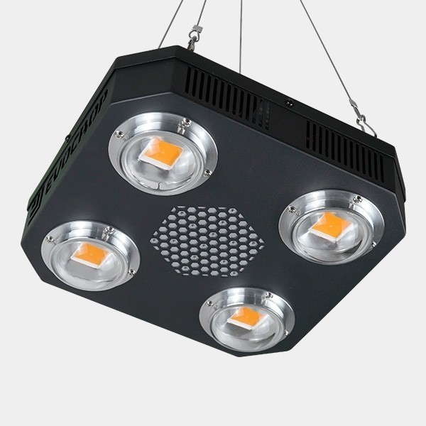 Comprar Led Weismann V1 Evocrop Panel - GB A marca verde