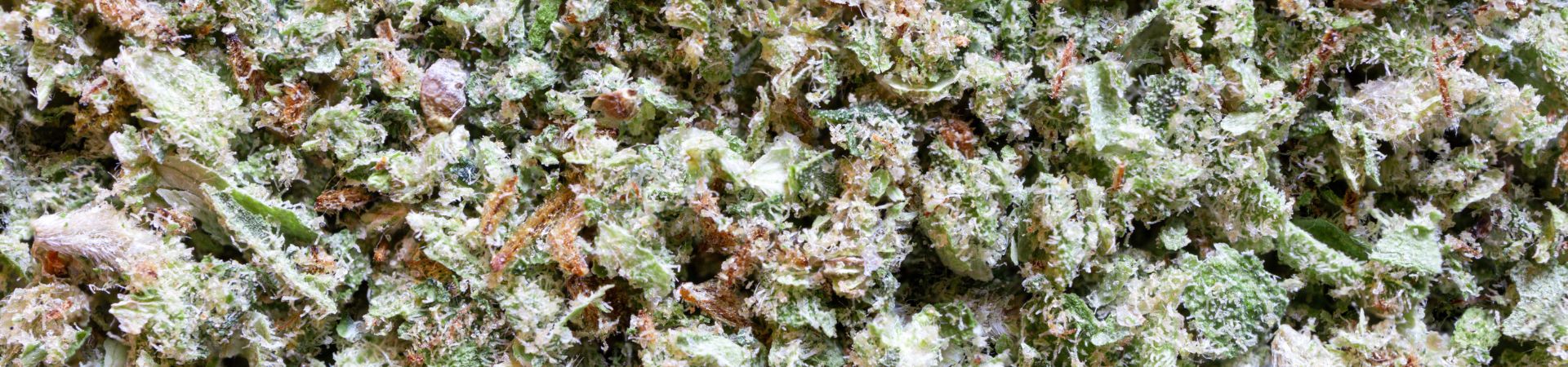 Trim CBD: O que é e para o que serve?