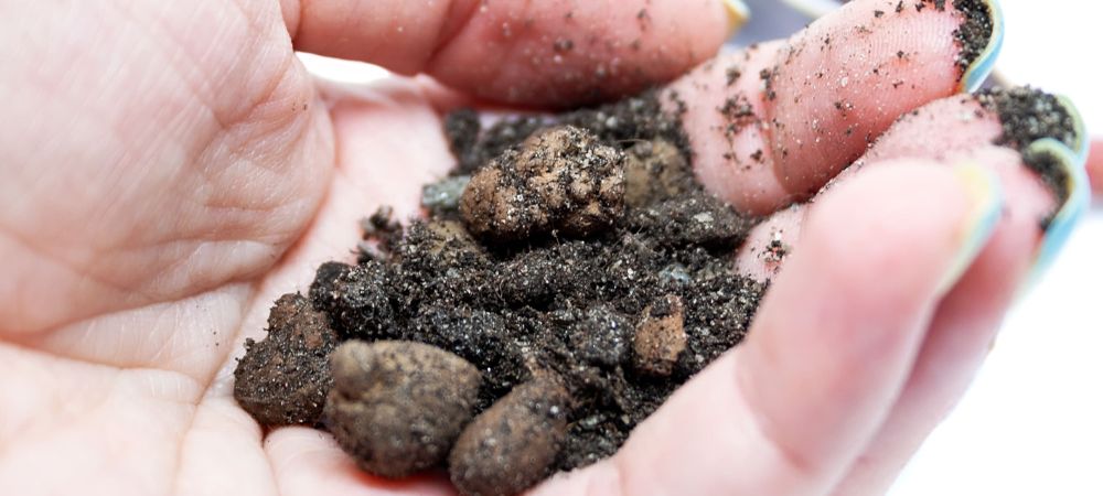 Tipos de substratos para cultivo: Descobre-os todos.